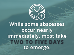 Abscesses From Intravenous (IV) Drug Use